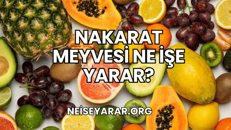Nakarat Meyvesi Ne İşe Yarar? - Ne İşe Yarar